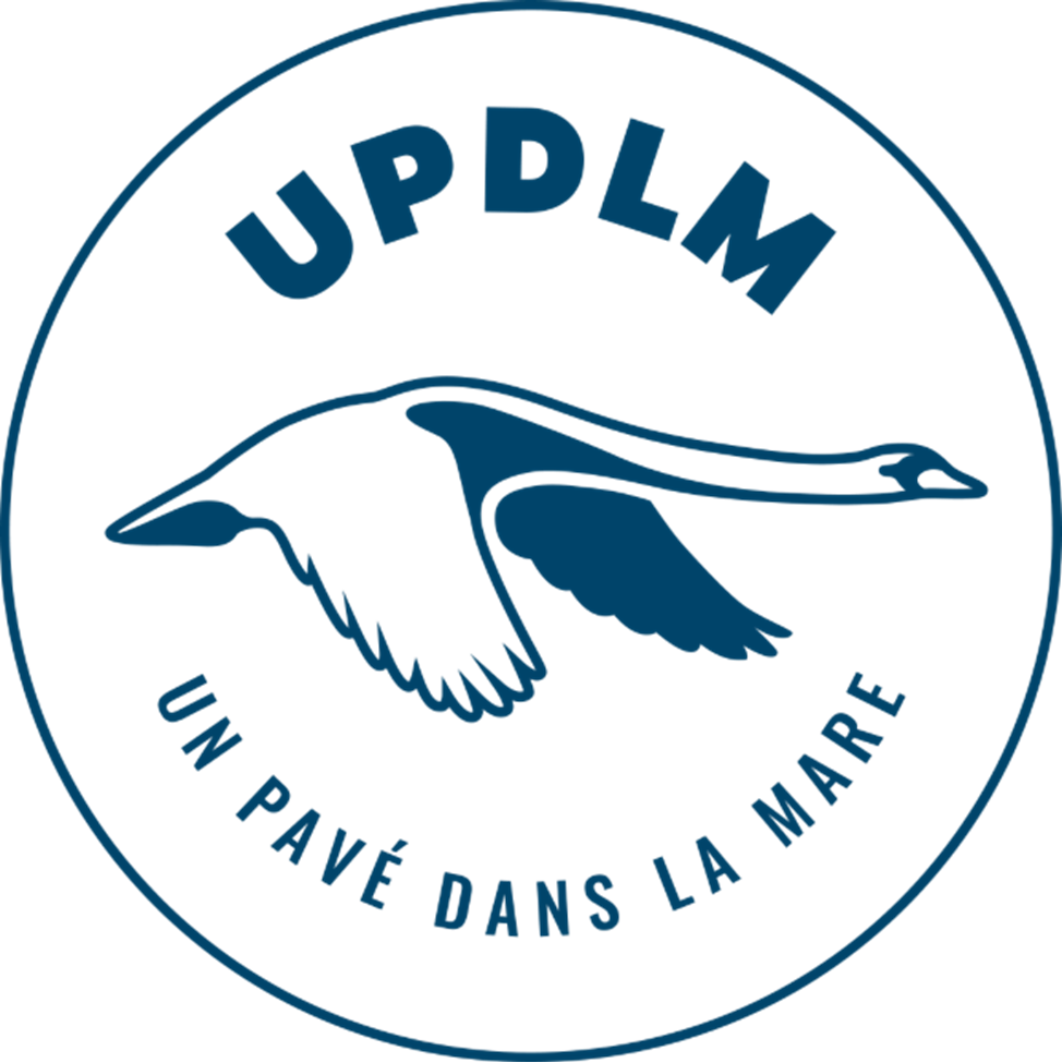 - Un Pavé Dans La Mare